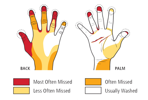 Proper Handwashing Cdc